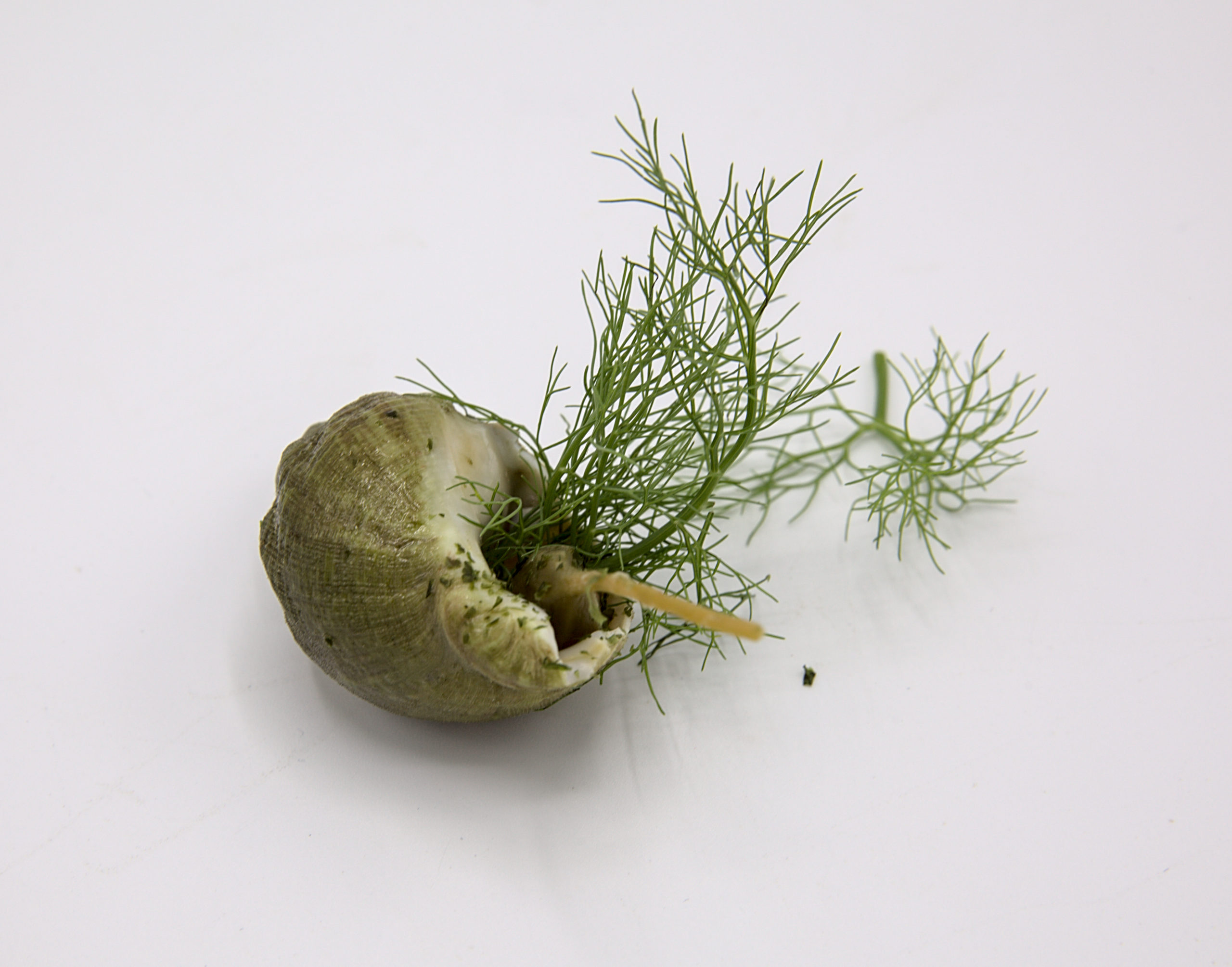 Nos menus - LOCA CAFE